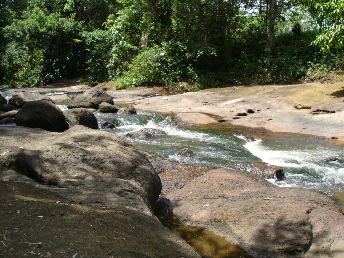 Der Amazonas | Südamerika-Reiseportal Blog